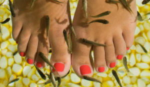 Fish Pedicures (Garra Rufa) - Benefits & Side Effects - - What to Know ...